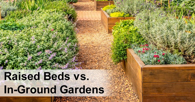 Raised Garden Beds vs. In-Ground Gardens | Beaver Lakes Nursery