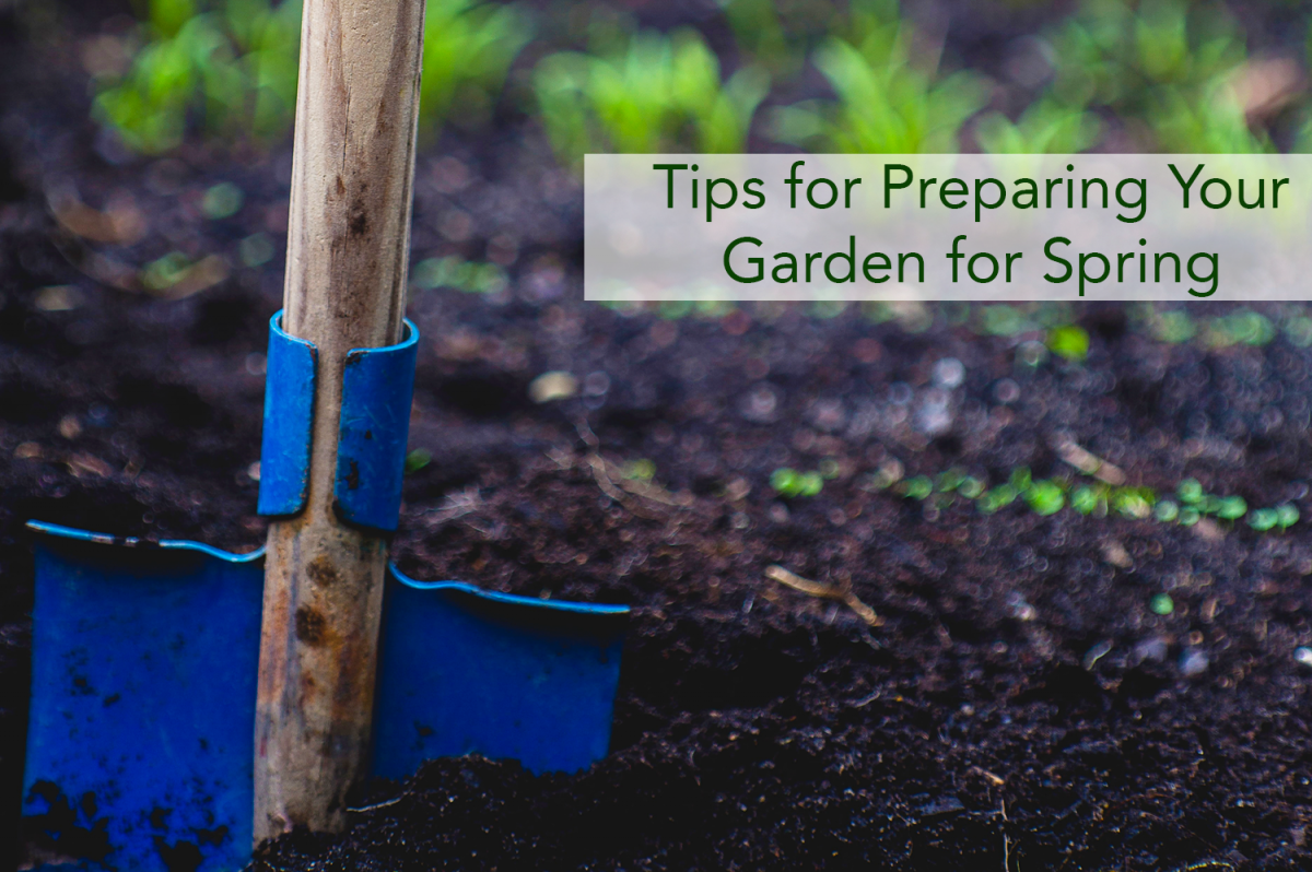 Tips for Preparing Your Garden for Spring - Beaver Lakes Nursery | And ...