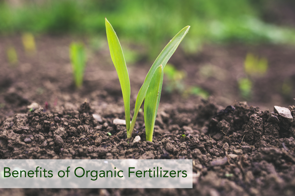 Benefits of Organic Fertilizers - Beaver Lakes Nursery | And Landscape ...