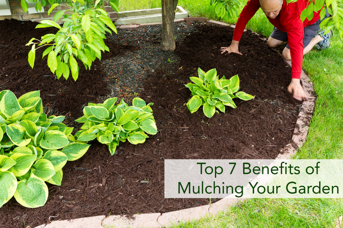 Top 7 Benefits of Mulching Your Garden